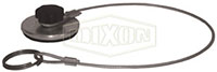 Item # DIXDGDP100, Mann Tek Dry Gas Dry Disconnect Couplers and ...